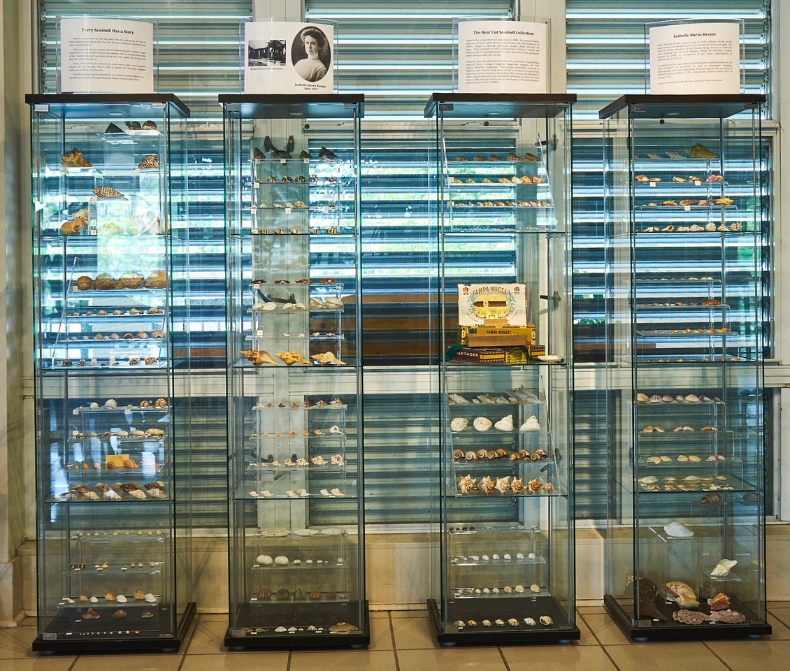 Special Exhibits – Marjory Stoneman Douglas Biscayne Nature Center